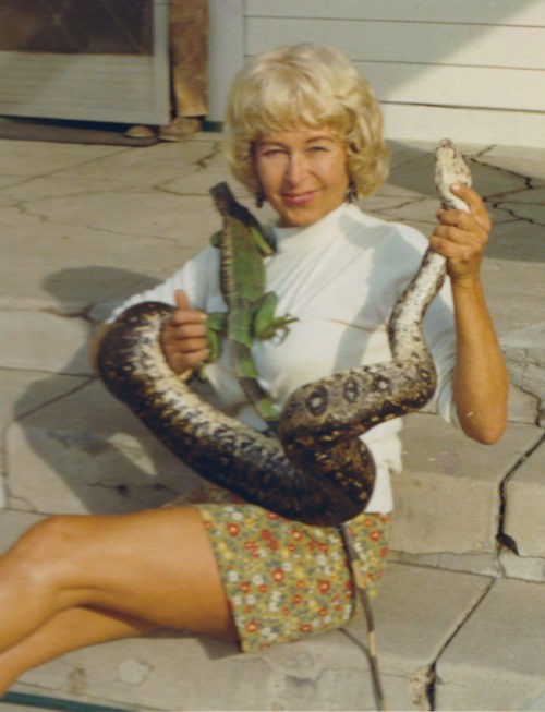 Pioneer Of The Deep - Glorious Sport