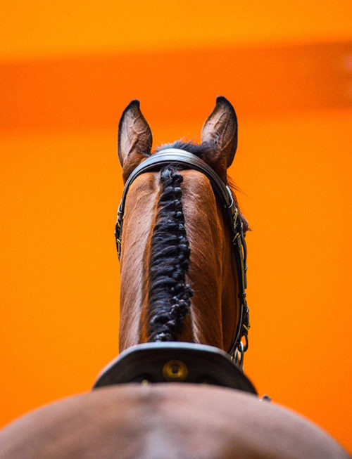 Zooming In On The Action - Glorious Sport