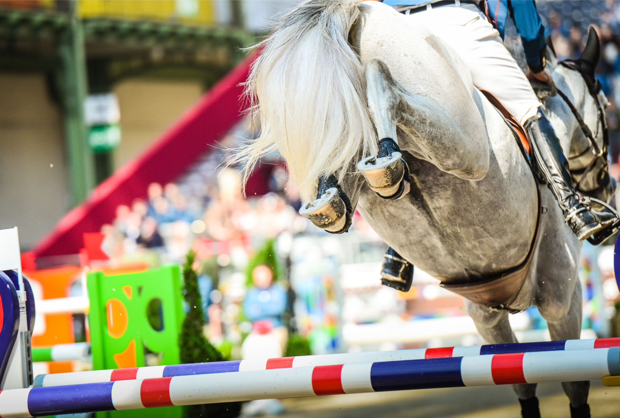 Zooming In On The Action - Glorious Sport