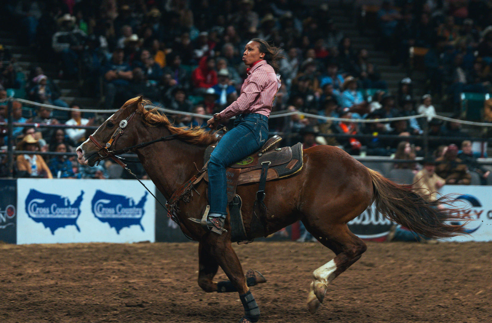 Stories - Glorious Sport