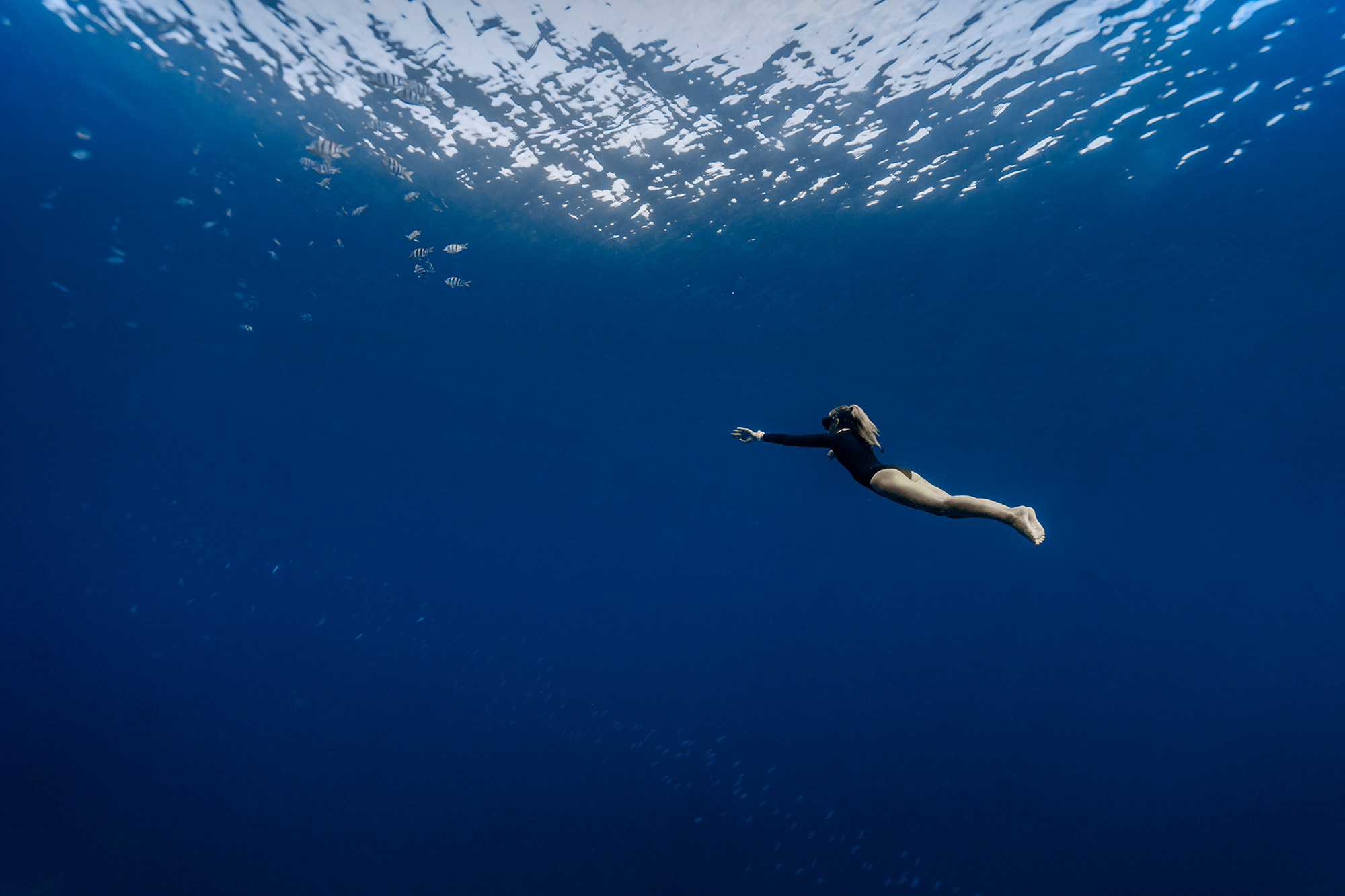 Descending Deep - Glorious Sport