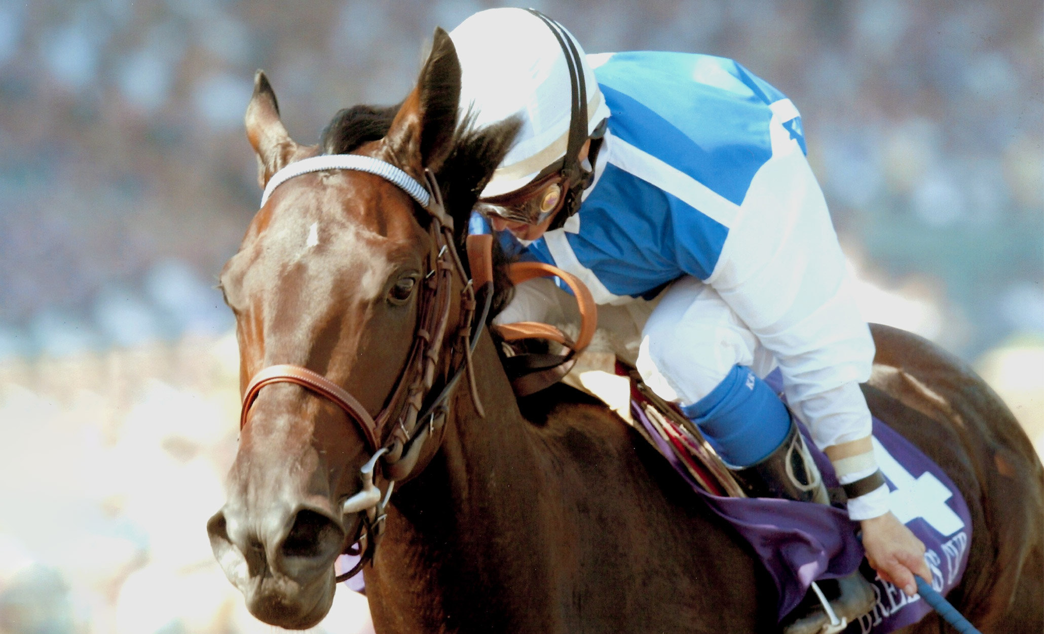 Julie Krone Julie Krone, A Groundbreaking Female Rider, Is Scheduled