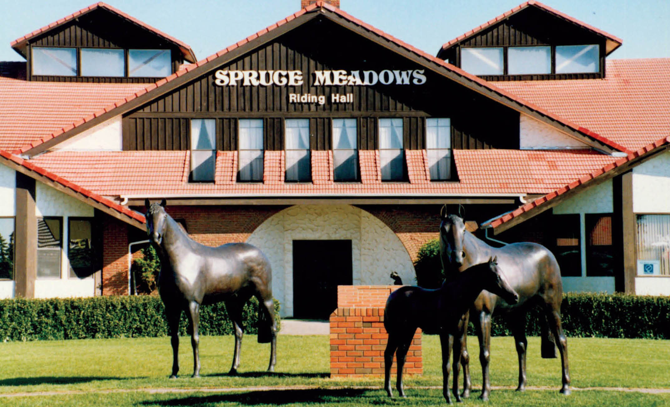 Sprucing Up The Equestrian World - Glorious Sport